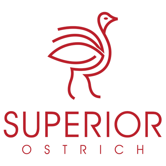 Red Wine-Braised Ostrich Stew – Superior Ostrich